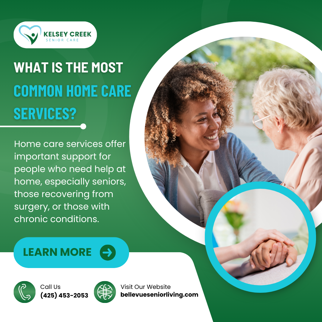 What Is The Most Common Home Care Services?